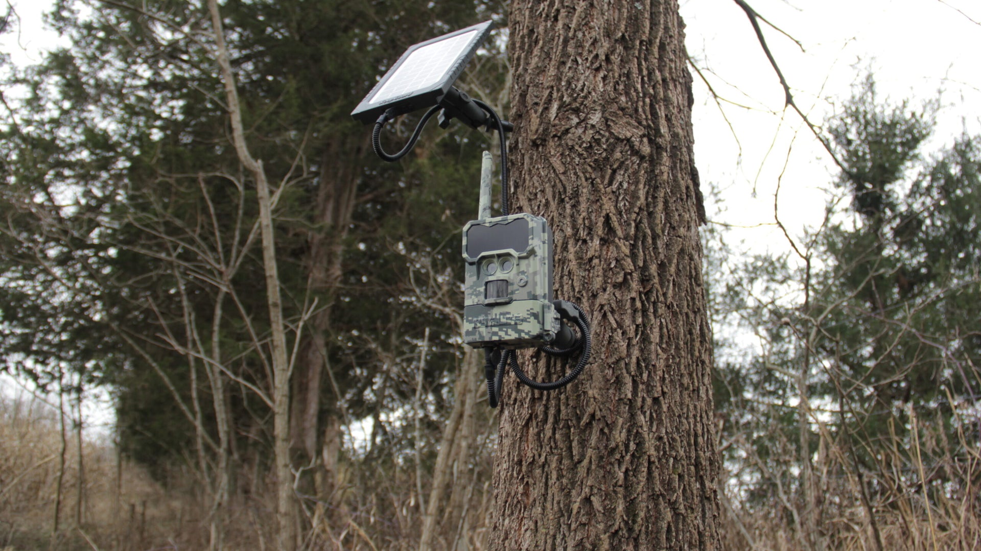 Trail Cameras and Accessories – ShopThermalOptics